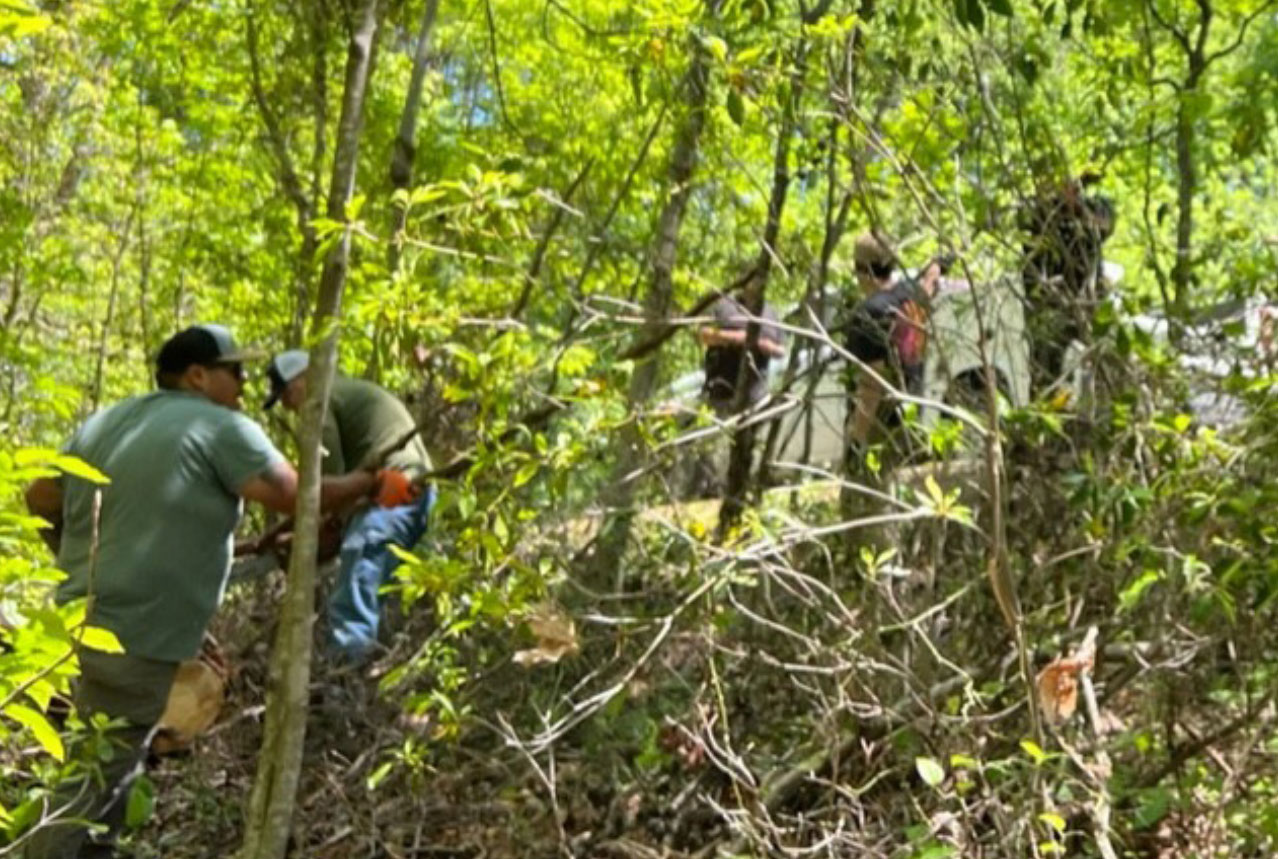 Language and Culture - Snowbird & Cherokee County Services
